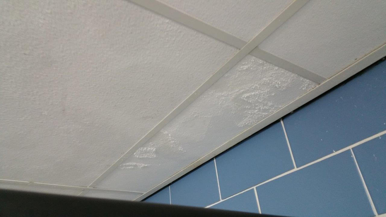 New Suspended ceiling in Calne - Cre8tive Interiors, UK